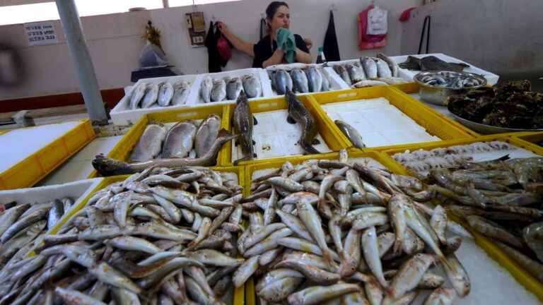 How To Start Catfish Farming At Home? 9 Key Factors to Consider - Four Fish